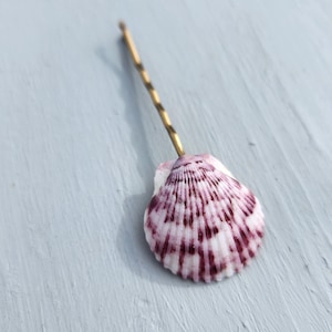 Seashell Hair Pins: Real Moon Shell & Scallop Bobbi Pins - Etsy