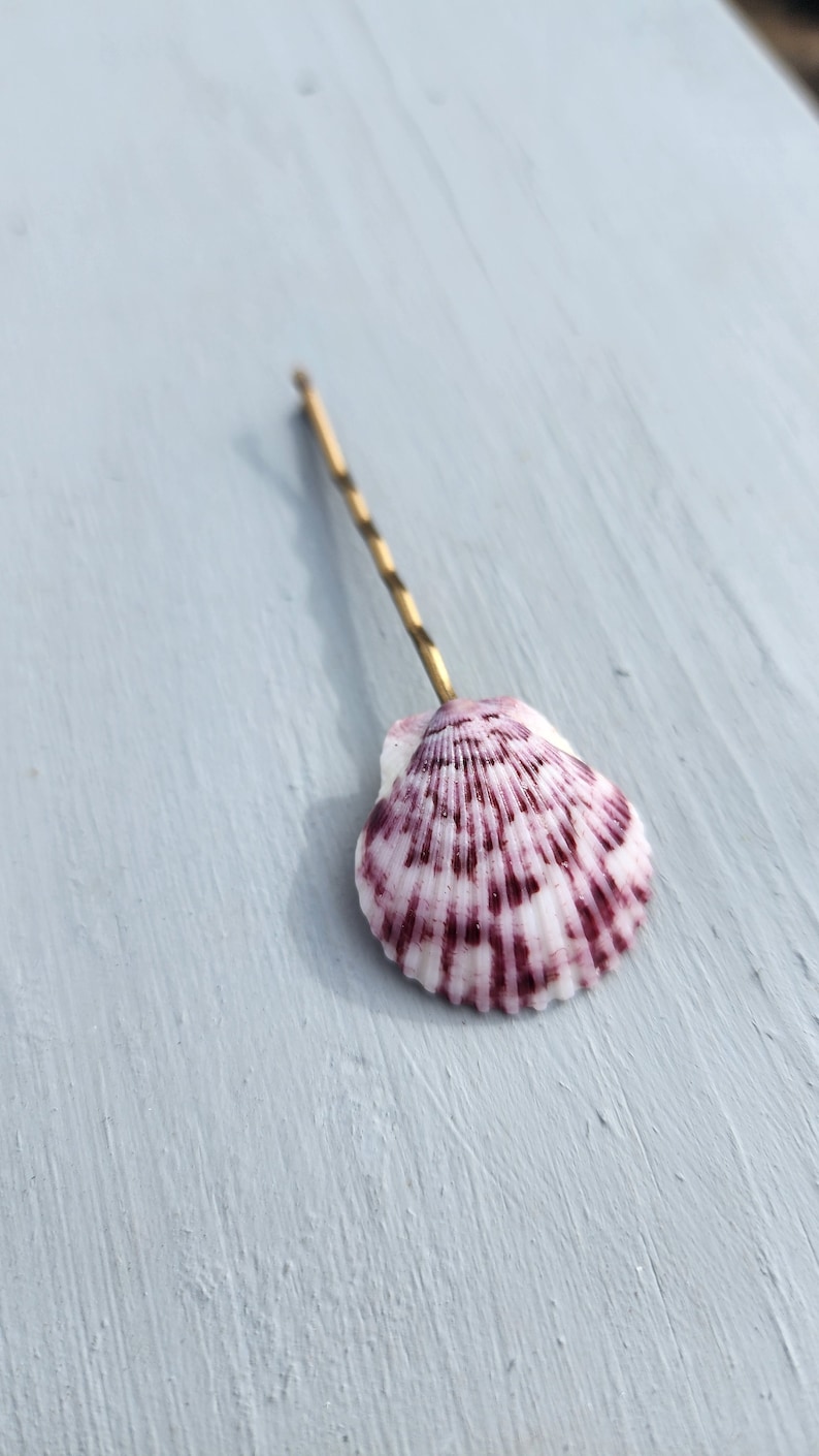 Seashell Hair Pins: Real Moon Shell & Scallop Bobbi Pins - Etsy