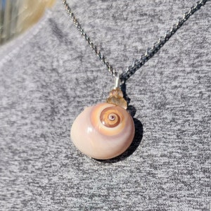 Rare Rainbow Moon Shell Necklace and Earrings. Women's Seashell Jewelry ...