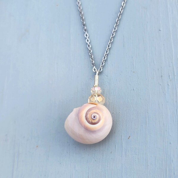 Rainbow Shell - Etsy