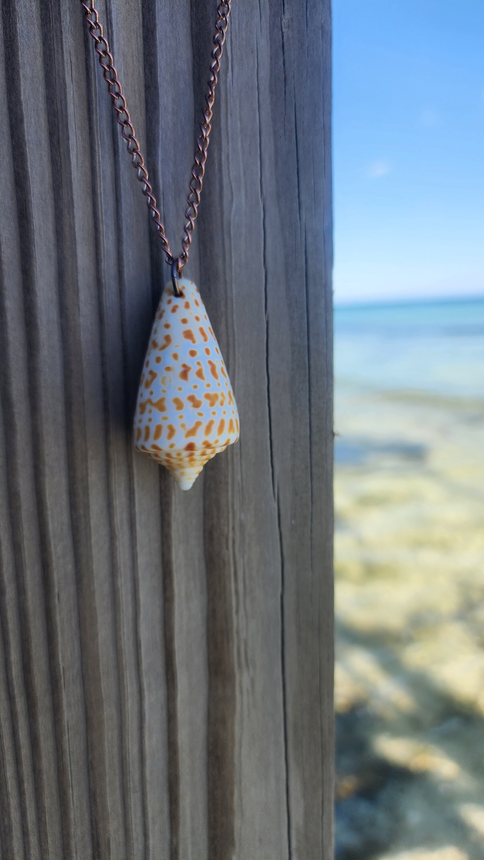 Rare Cone Shell Necklace. Seashell Necklace. Mermaid Necklace. - Etsy