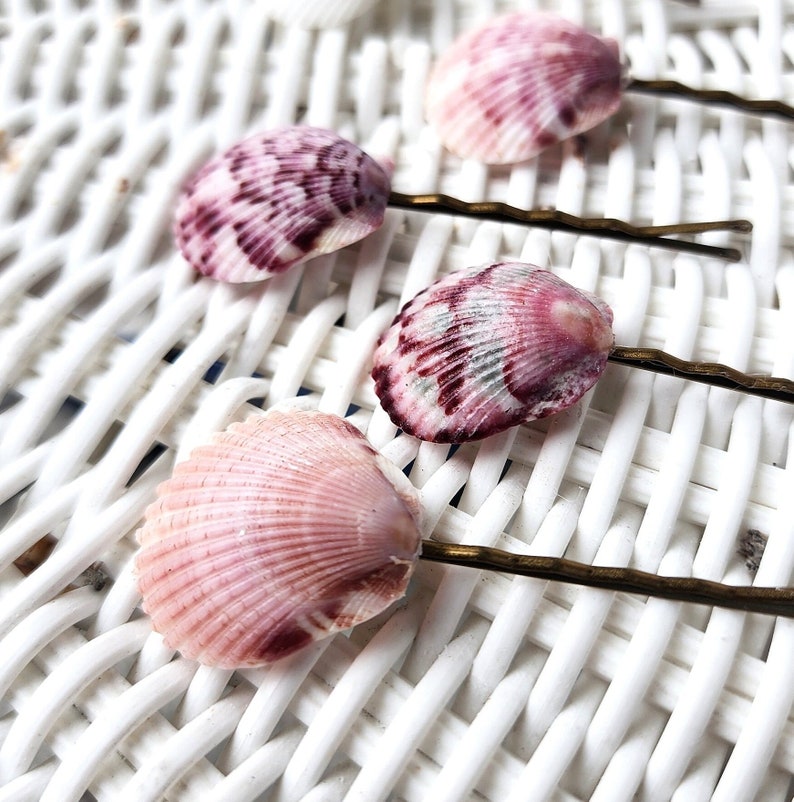 Seashell Hair Pins: Real Moon Shell & Scallop Bobbi Pins - Etsy