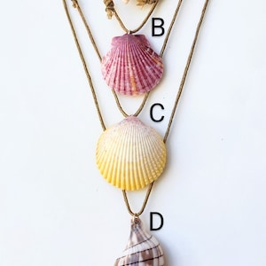 Girl's Seashell Charm Necklace. Choker Necklace Adjustable up to 18 ...