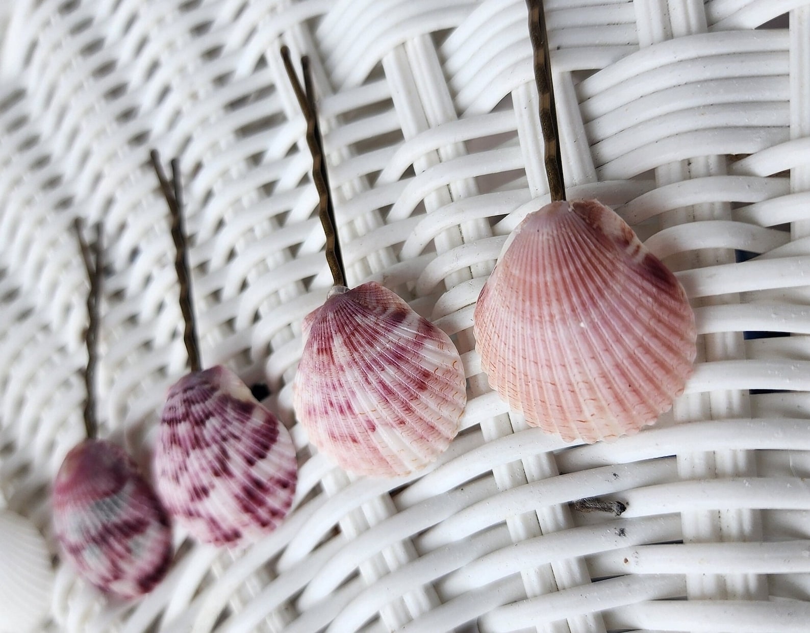 Seashell Hair Pins: Real Moon Shell & Scallop Bobbi Pins - Etsy