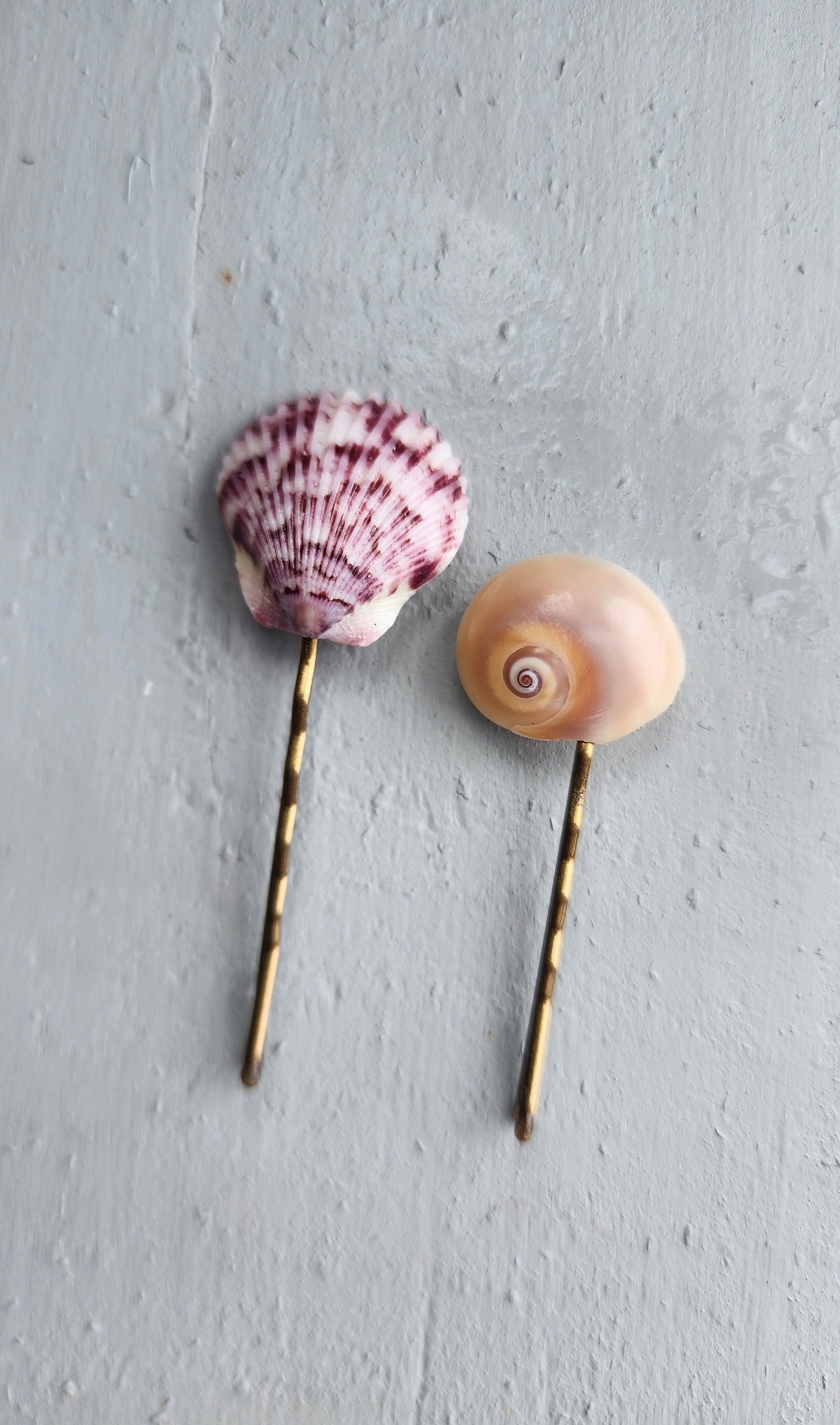 Seashell Hair Pins: Real Moon Shell & Scallop Bobbi Pins - Etsy