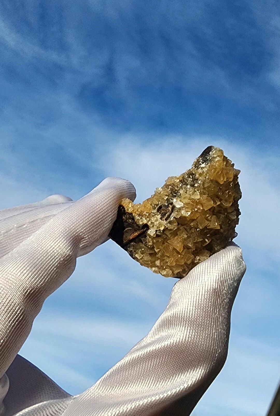 70 Million Year Old Crystalized Baculite Fossil With Nakre Still in ...