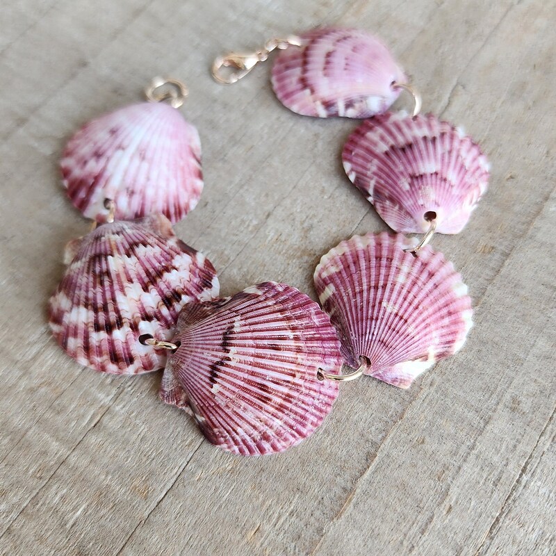 Seashell Bracelet - Etsy