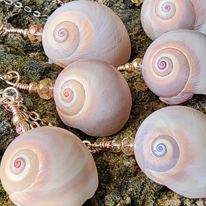 Rare Rainbow Moon Shell Necklace and Earrings. Women's Seashell Jewelry ...