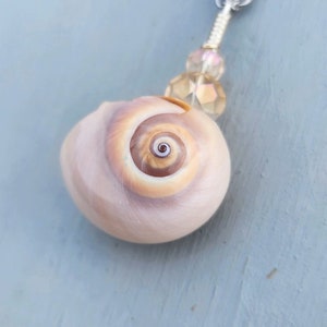 Rare Rainbow Moon Shell Pendant Necklace. Little Mermaid Necklace ...