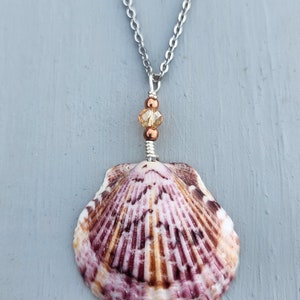 Real Seashell Necklace on Stainless Steel Chain. Scallop Shell Mermaid ...