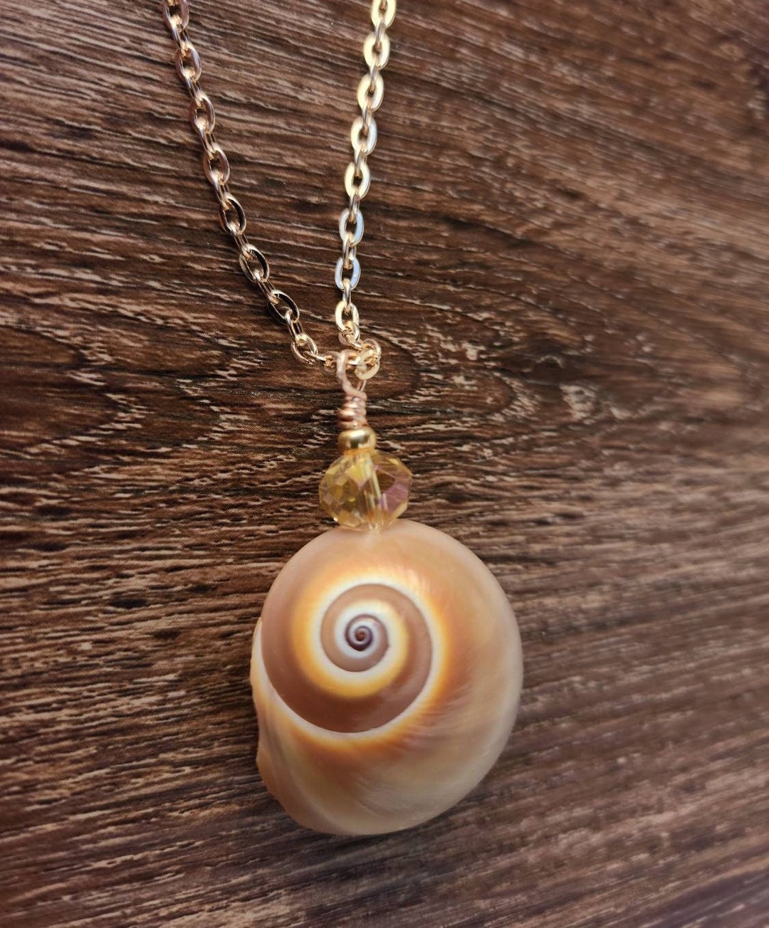 Shark Eye Seashell Pendant Necklace. Waterproof Unisex Necklace. Little ...