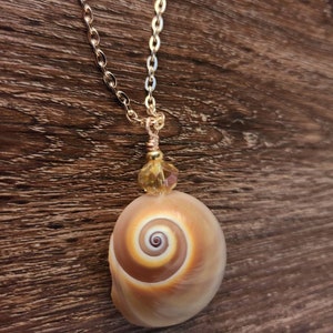 Shark Eye Shell Mermaid Necklace. Seashell Necklace. Shell Jewelry ...