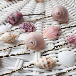 Seashell Hair Pins: Real Moon Shell & Scallop Bobbi Pins - Etsy