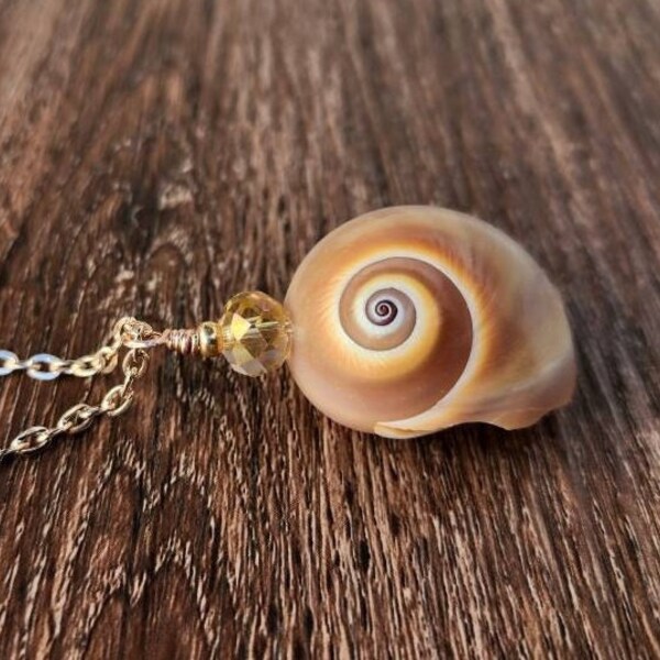 Seashell Necklace - Etsy