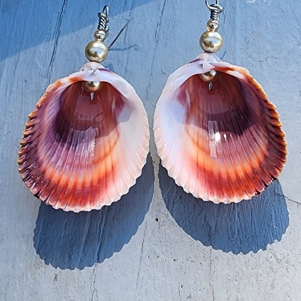Seashell Earrings - Etsy