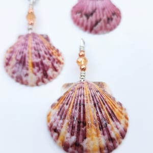 Real Seashell Necklace on Stainless Steel Chain. Scallop Shell Mermaid ...