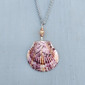 Real Seashell Necklace on Stainless Steel Chain. Scallop Shell Mermaid ...