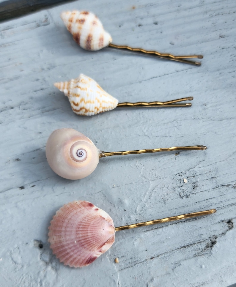 Seashell Hair Pins: Real Moon Shell & Scallop Bobbi Pins - Etsy