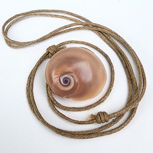 Shark Eye Shell Mermaid Necklace. Seashell Necklace. Shell Jewelry ...