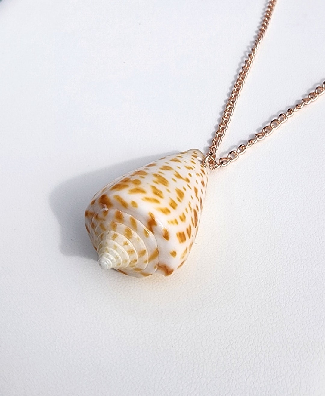 Rare Florida Cone Shell Pendant Necklace. One of a Kind Necklace ...