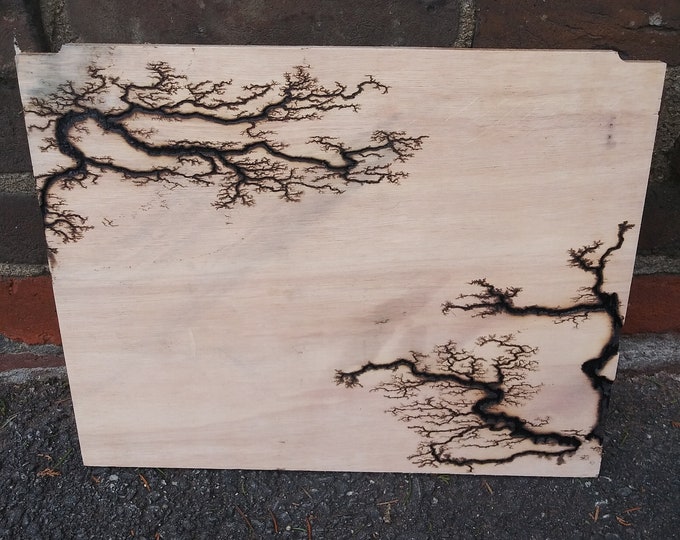 Fractal Wood Burning/lichtenberg Unfinished 7 - Etsy