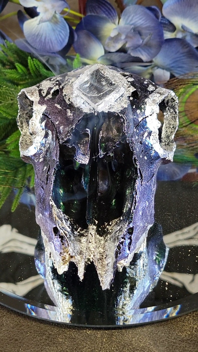 Vast - Iridescent Sheep Skull - Etsy