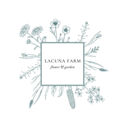 LacunaFarm - Etsy