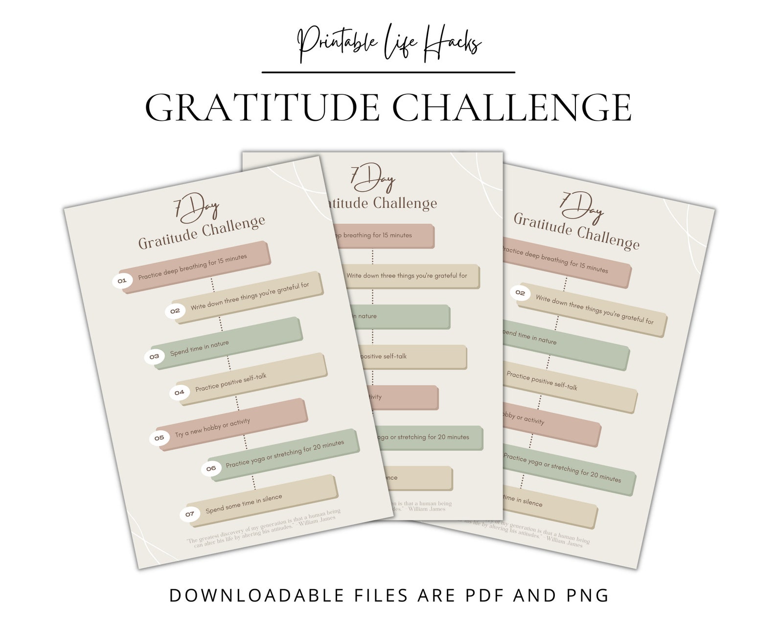 Gratitude Challenge | Printable | Digital Download - Etsy