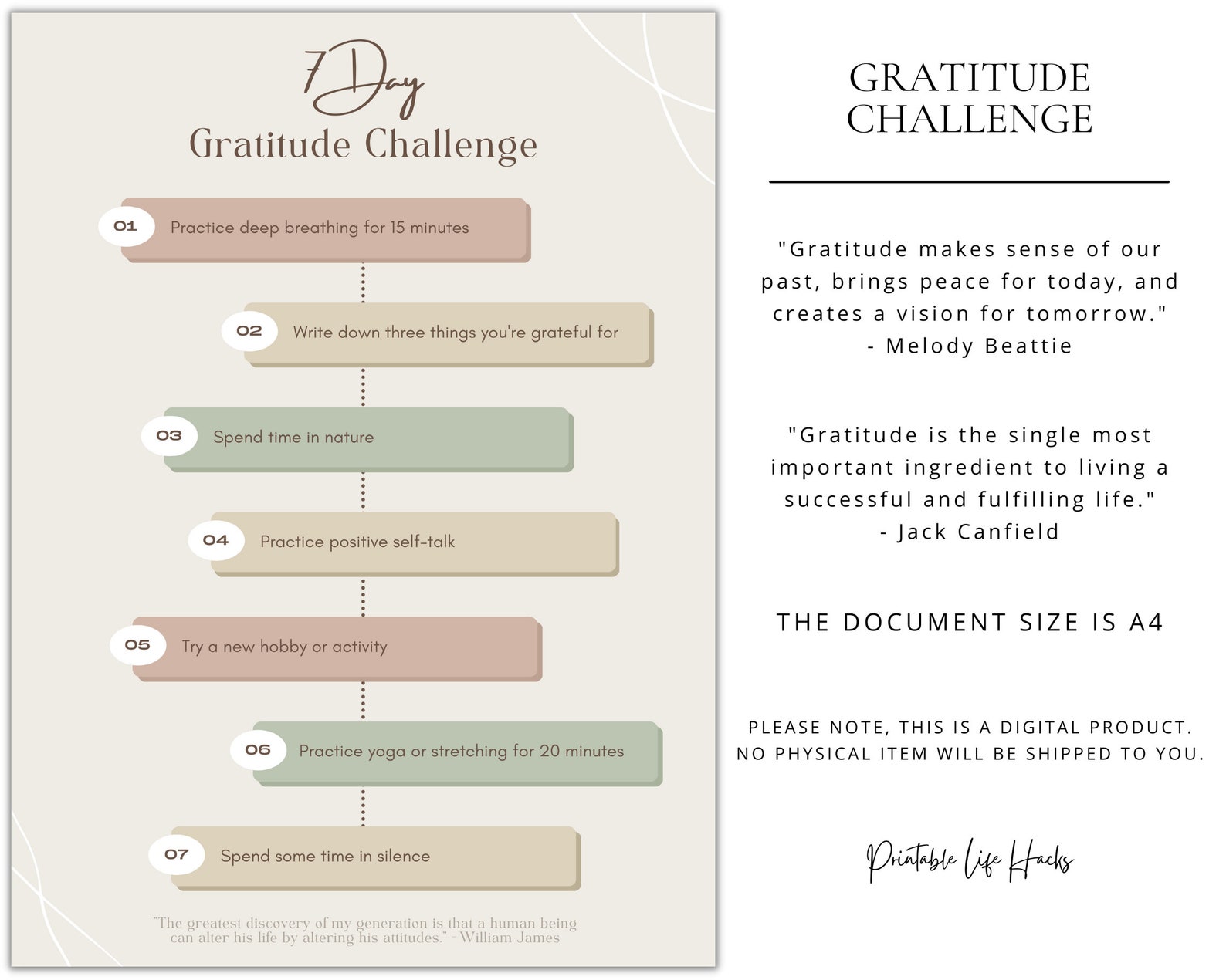 Gratitude Challenge | Printable | Digital Download - Etsy