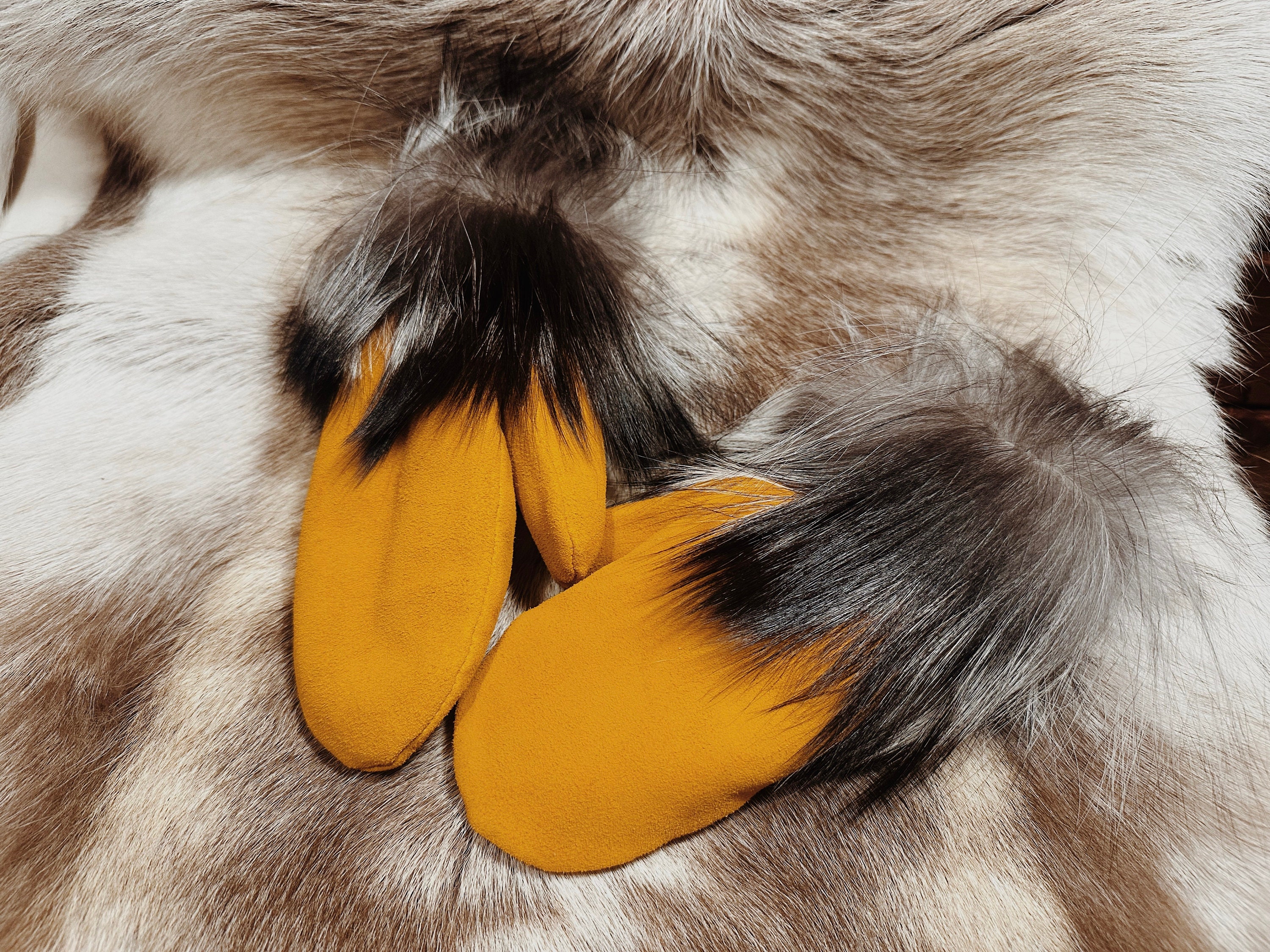 Shop — Mokwa Iskwesis Artworks