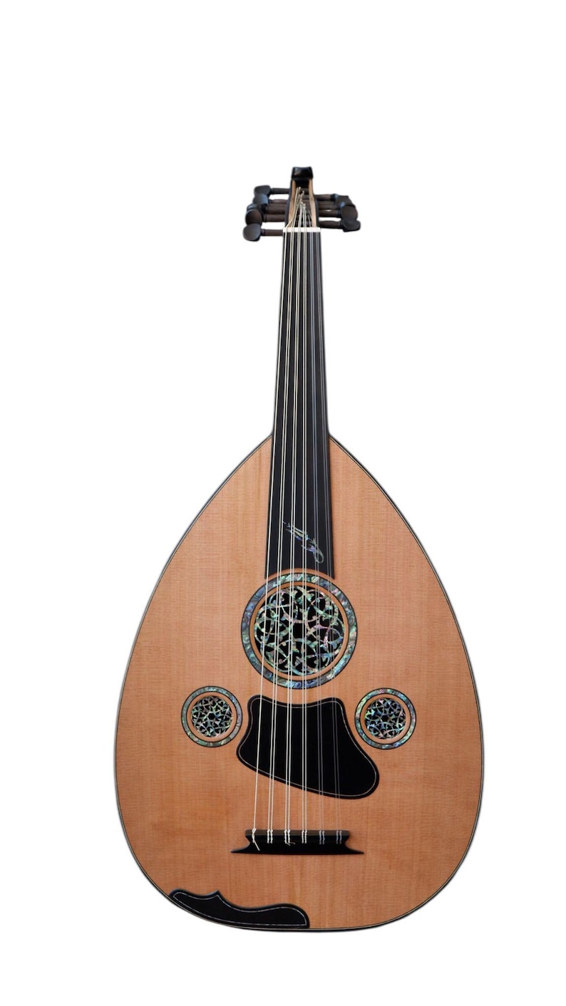 Yildirim Palabiyik Professional Indian Rosewood Oud - Etsy
