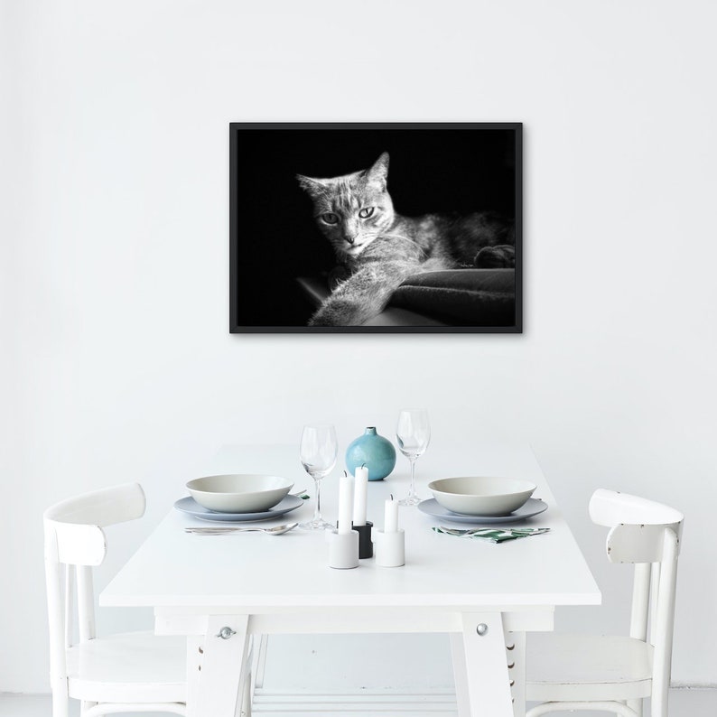 Grayscale Cat in a Dark Background | Digital Print | Downloadable ...