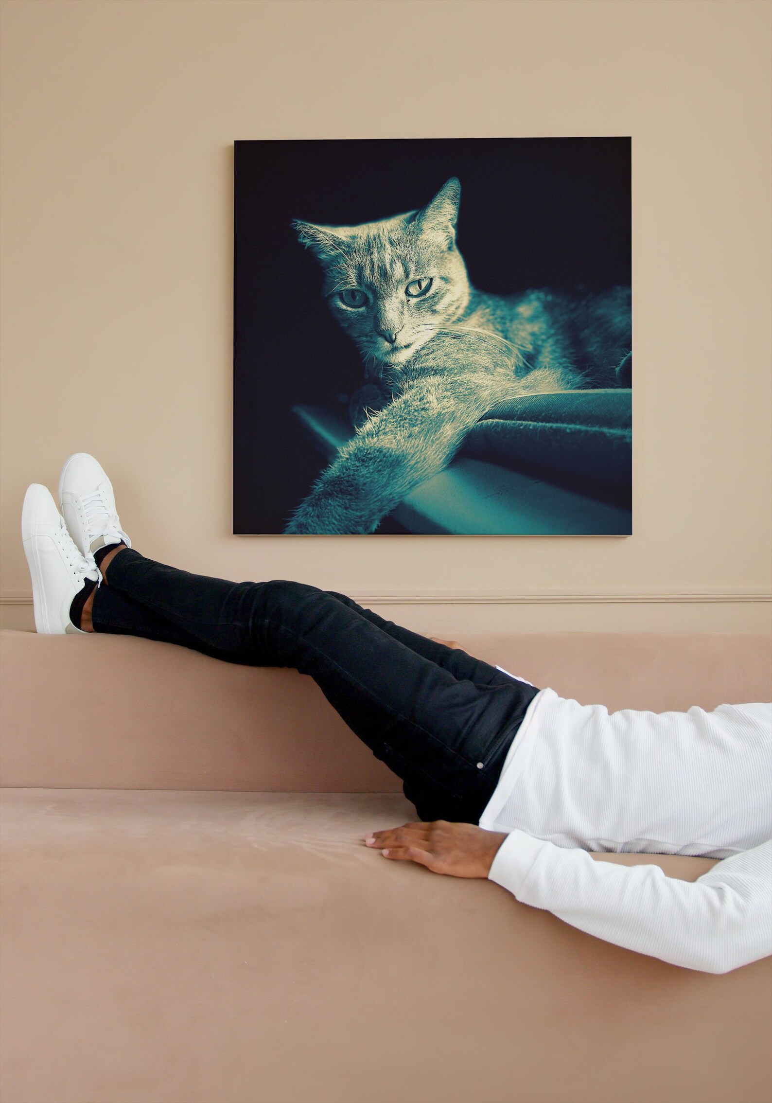 Grayscale Cat in a Dark Background | Digital Print | Downloadable ...