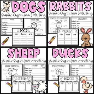Farm Animals Graphic Organizers- Research Writing 156 Pages -chick ...
