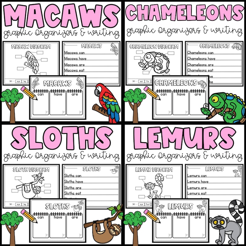 Rainforest Animals Graphic Organizers Research Writing Tiger Toucan ...