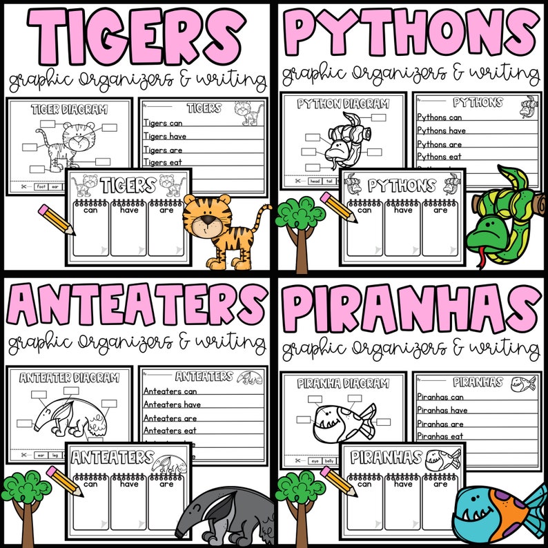 Rainforest Animals Graphic Organizers Research Writing Tiger Toucan ...