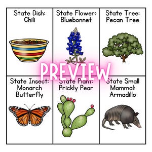 Texas BINGO Game -western, Rodeo, Cowboy, Symbols, Go Texan Day- Class ...