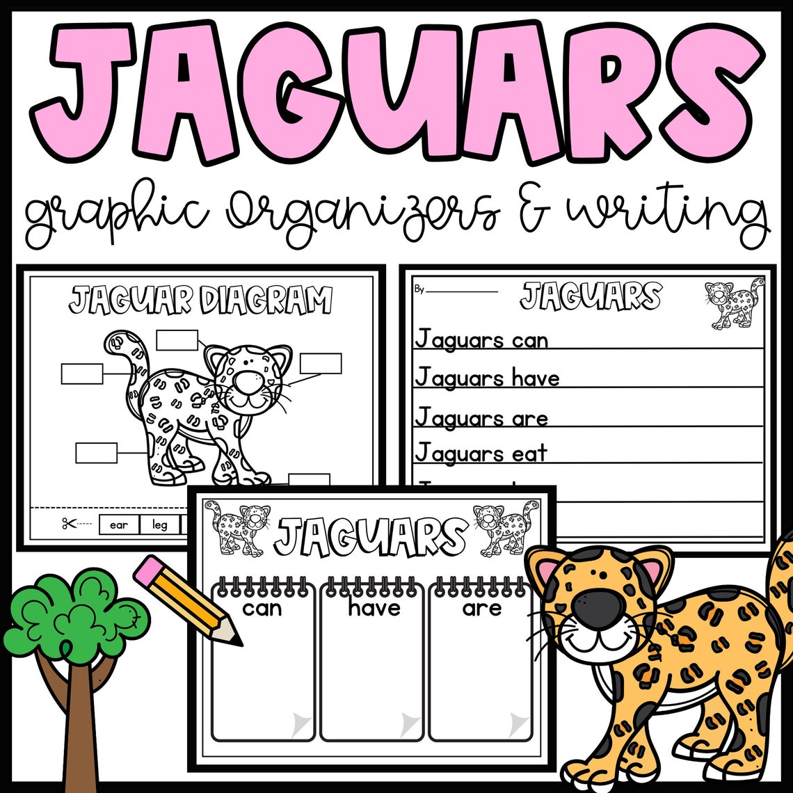 Rainforest Animals Graphic Organizers Research Writing Tiger Toucan ...