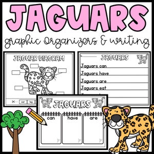 Rainforest Animals Graphic Organizers Research Writing Tiger Toucan ...