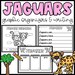 Rainforest Animals Graphic Organizers Research Writing Tiger Toucan ...