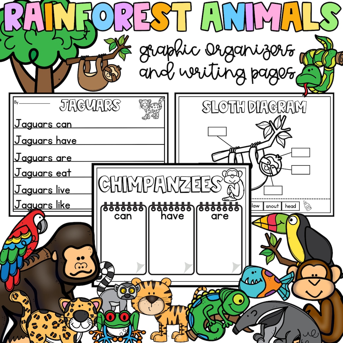Rainforest Animals Graphic Organizers Research Writing Tiger Toucan ...