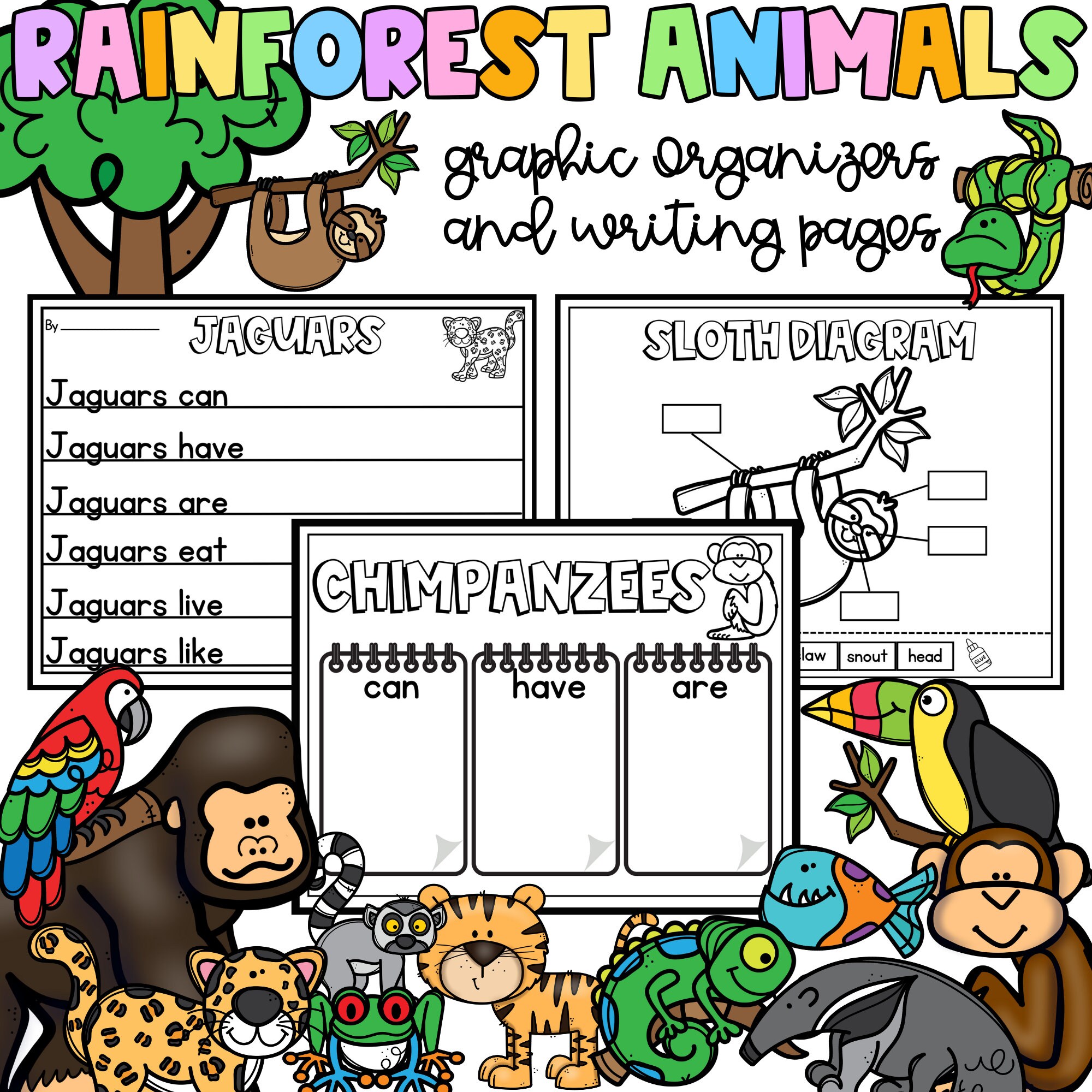 Rainforest Animals Graphic Organizers Research Writing Tiger Toucan ...