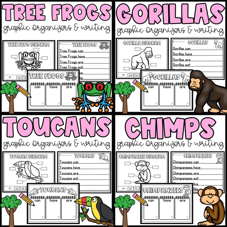 Rainforest Animals Graphic Organizers Research Writing Tiger Toucan ...