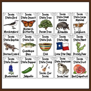 Texas Symbols Posters, Color and Black/white - Go Texan Day - Coloring ...
