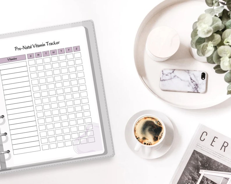 Printable Pregnancy Planner, Digital Pregnancy Journal, Printable ...