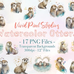 Watercolour Otter Digital Download Bundle PNG With Transparent ...