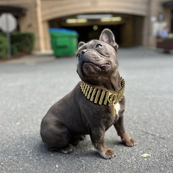 Bullet Dog Collar - Etsy