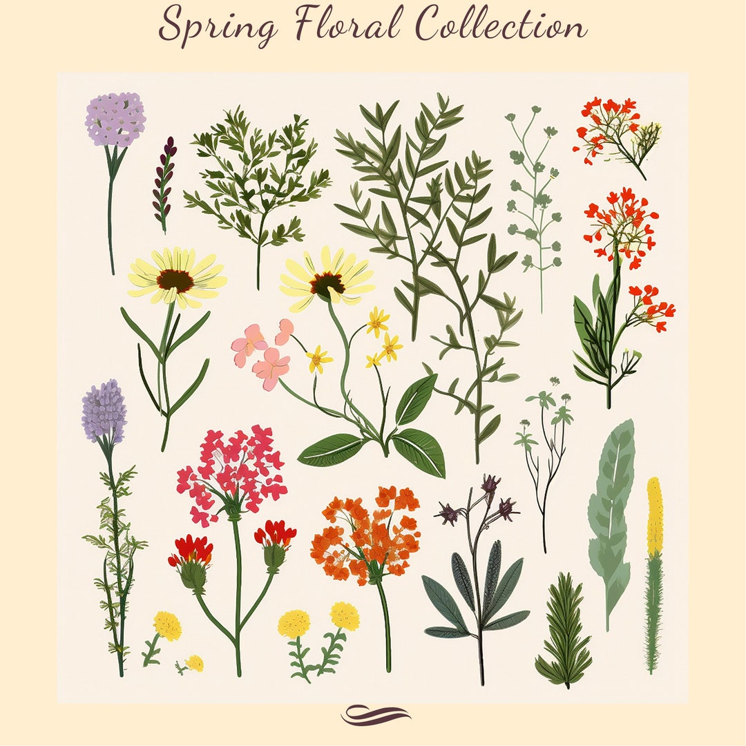 Watercolor Spring Flower Clipart Spring Flowers watercolor - Etsy