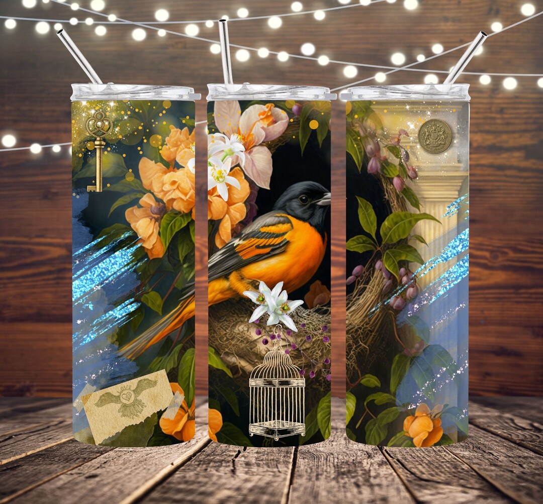 034. Oriole Collage, Beautiful Orange Oriole, Birdcage, Finished ...