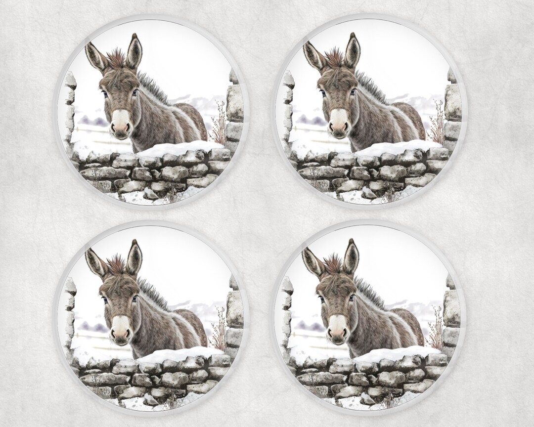 Set of 4 Donkey Glass Round Coasters Design 1 - Etsy